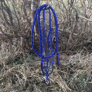 Blue Rope Halter/lead Rope Set - Etsy