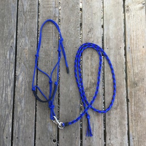 Blue Rope Halter/lead Rope Set - Etsy
