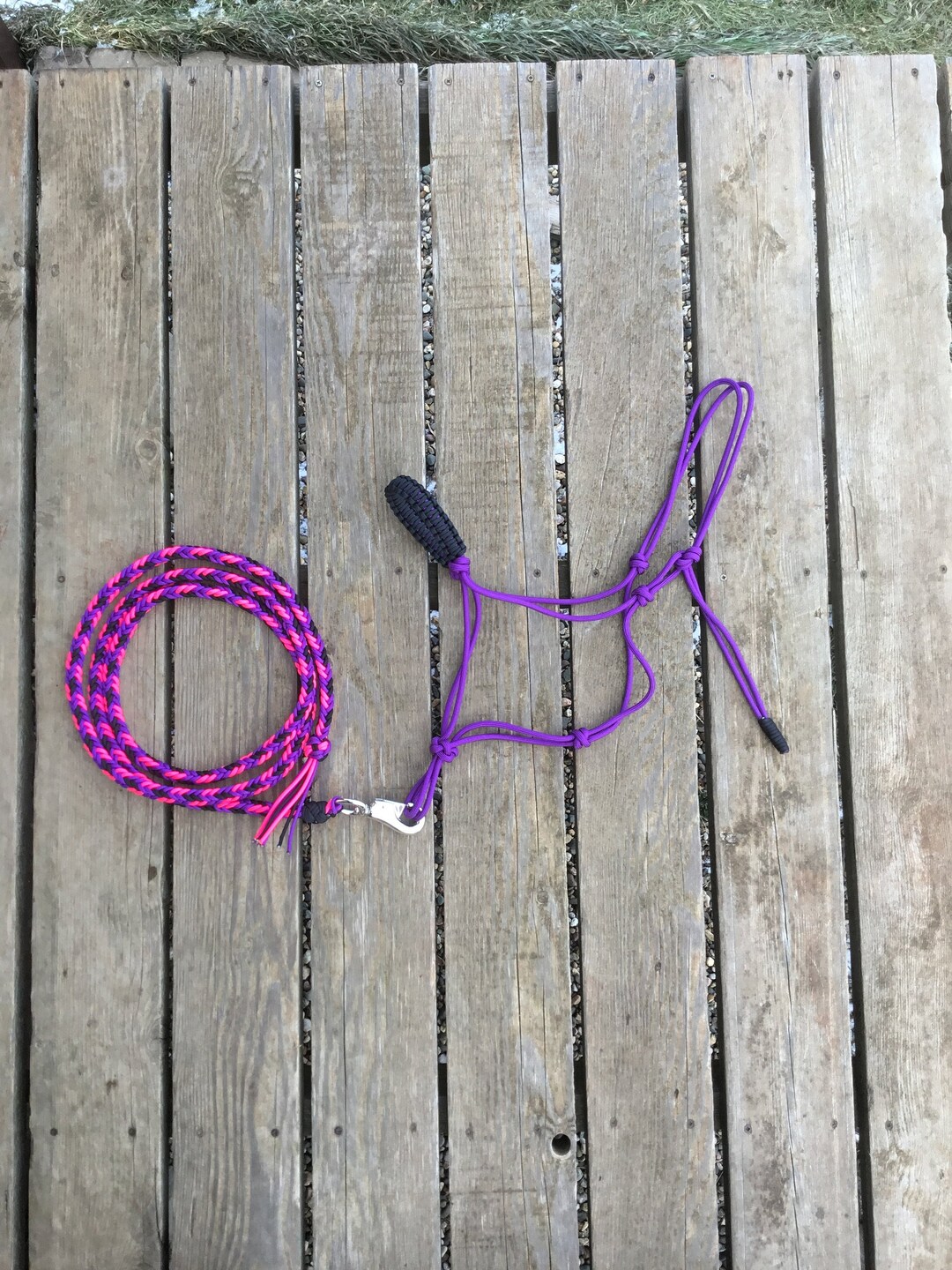 Purple Rope Halter/lead Rope Set - Etsy