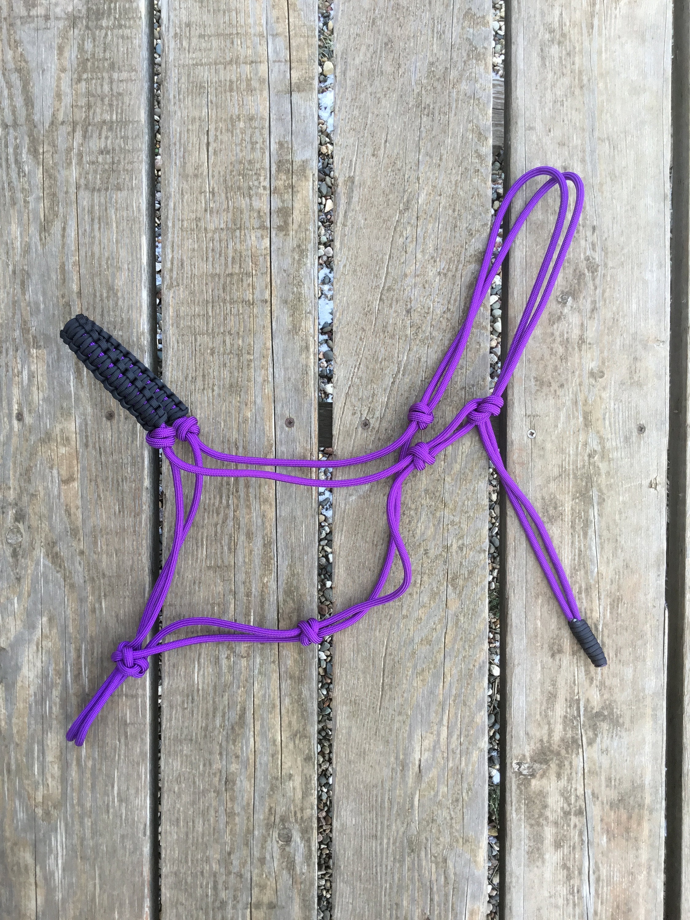Purple Rope Halter/lead Rope Set - Etsy