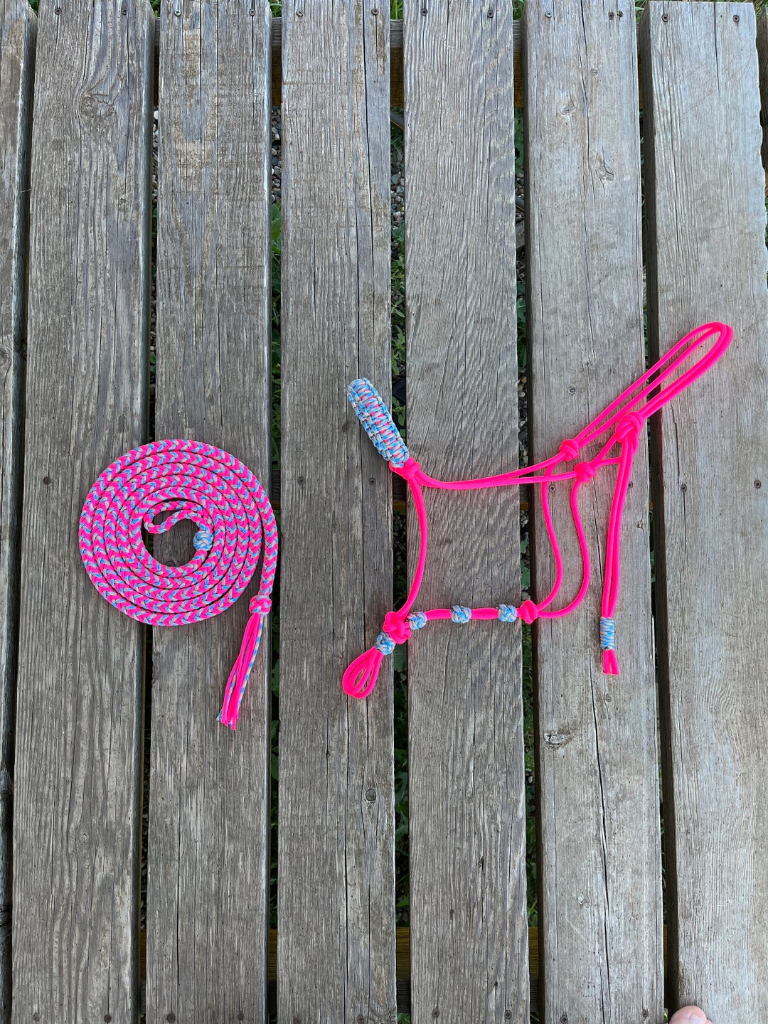 Neon Pink Halter/lead Rope Set - Etsy