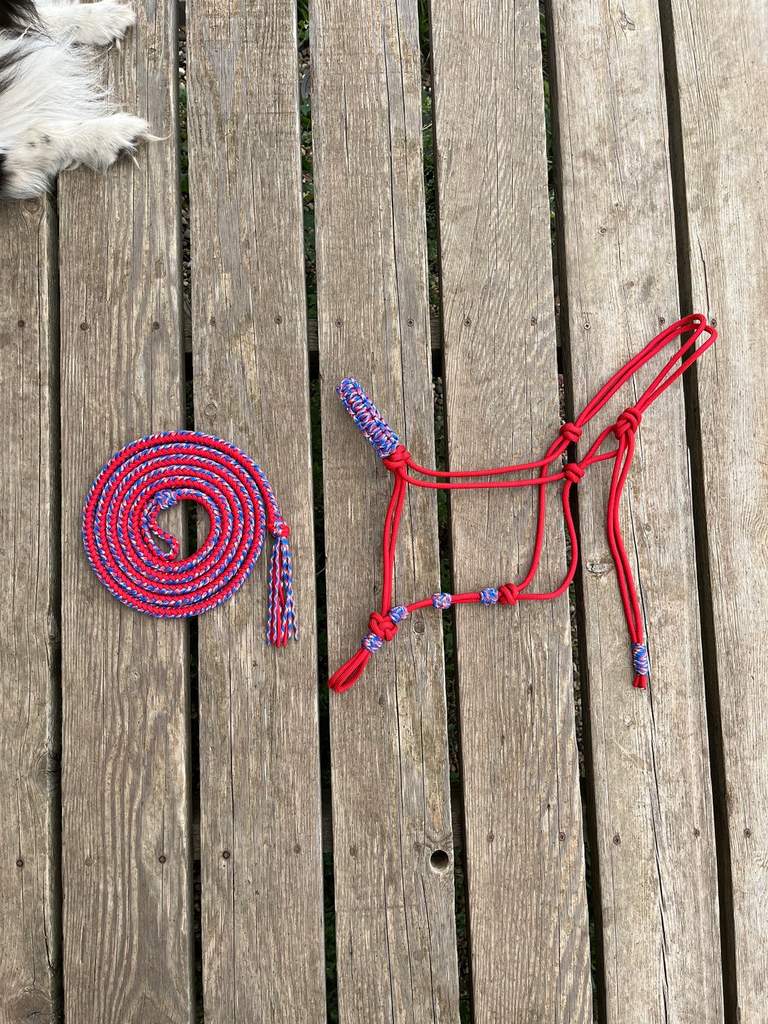Red, White and Blue Halter Lead Rope Set - Etsy