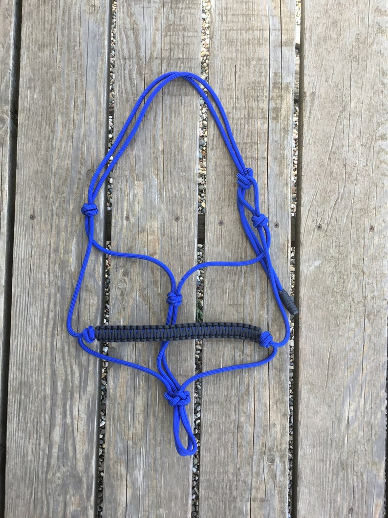 Blue Rope Halter/lead Rope Set | Etsy