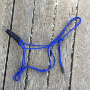 Blue Rope Halter/lead Rope Set - Etsy