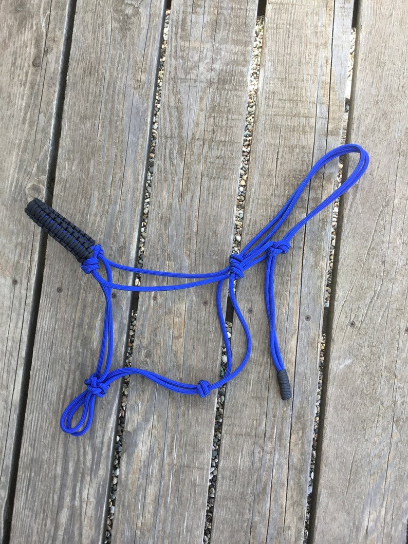 Blue Rope Halter/lead Rope Set | Etsy