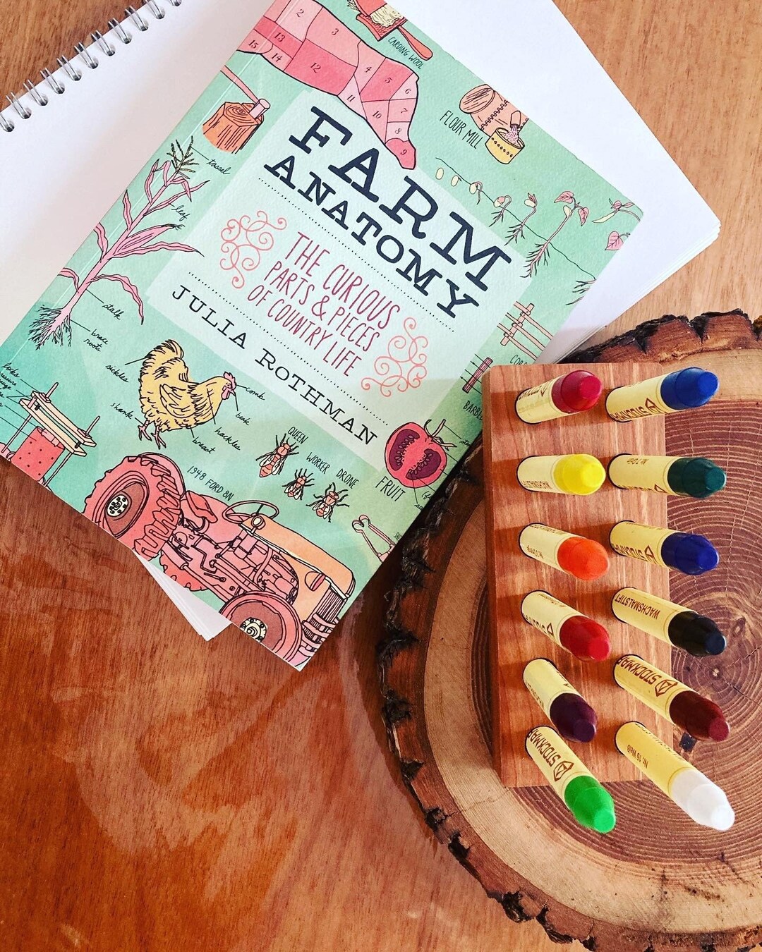 Handcrafted Wooden Stockmar Crayon Tray: Homeschool Art Organizer - Etsy