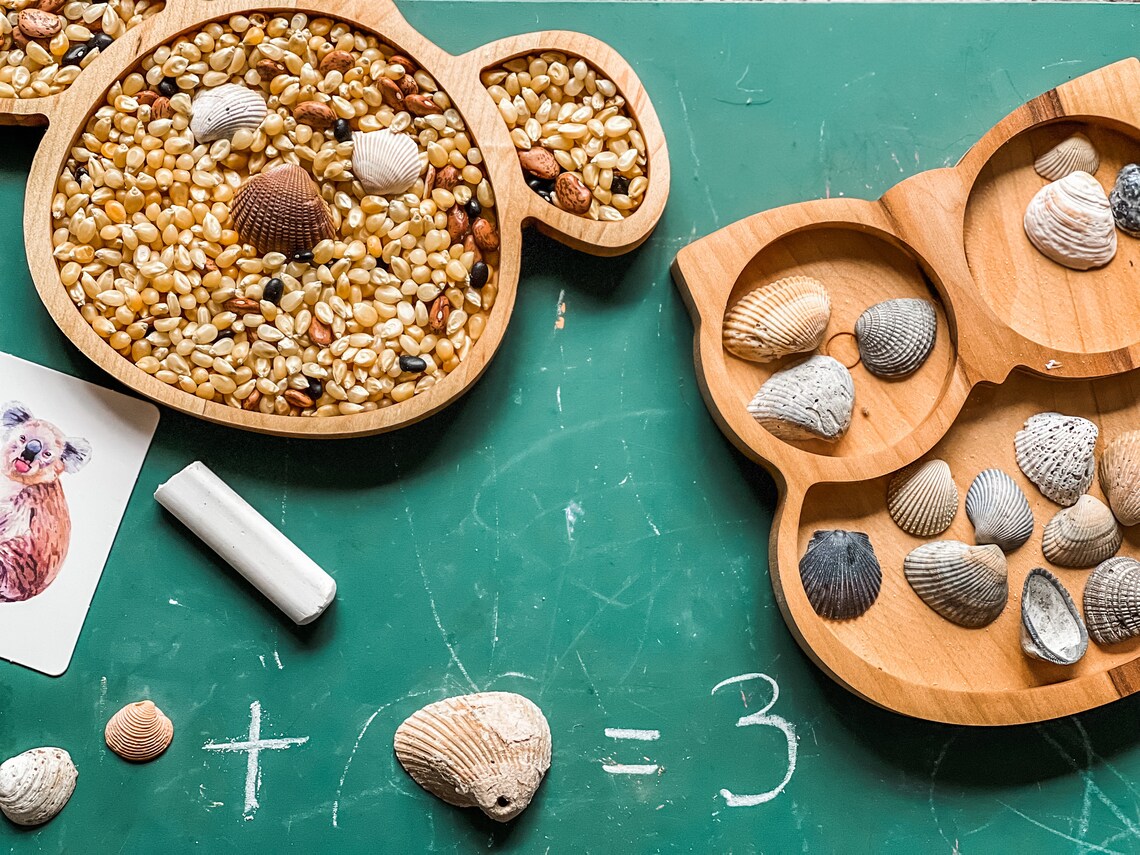 Wooden Koala Bear Sorting Sensory Tray Montessori - Etsy