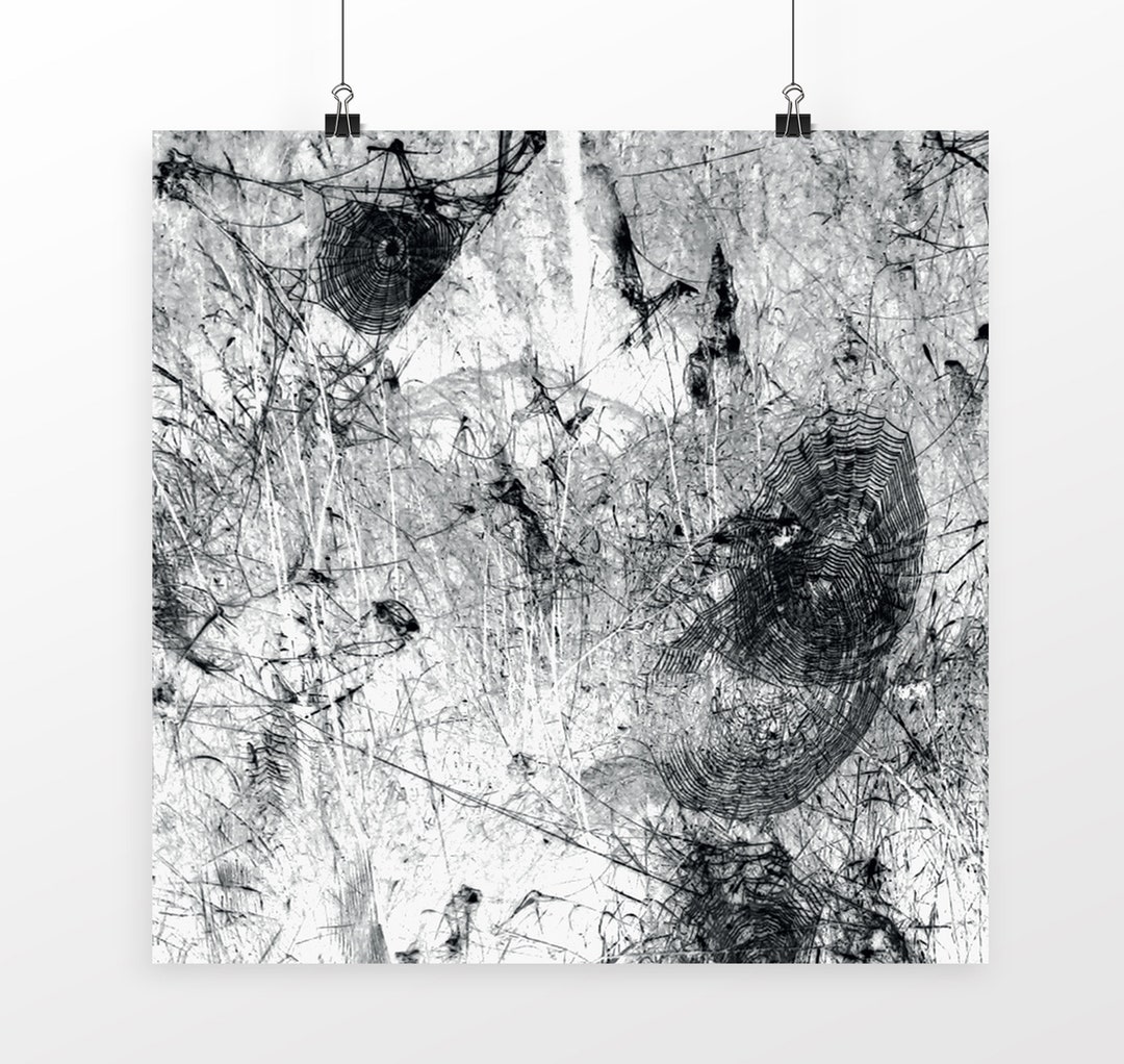 Poster Cobweb, Print 29x29 Cm - Etsy