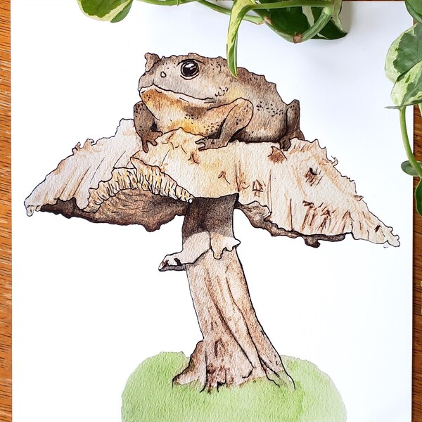 Toad Painting - Etsy