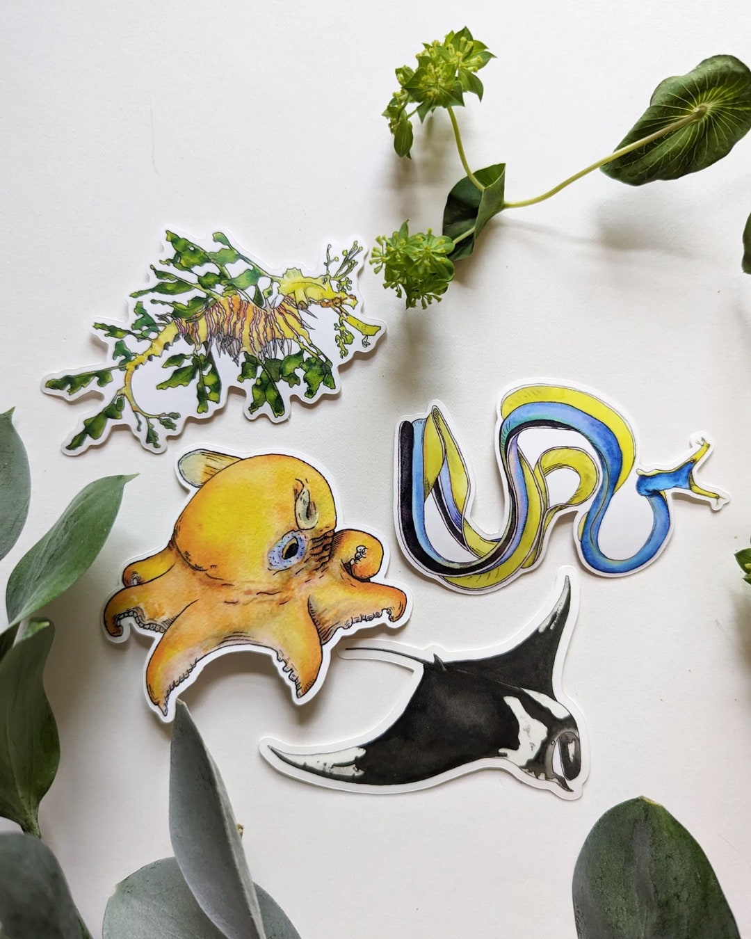 Watercolor Sea Creatures Sticker Pack L Leafy Seadragon L Ribbon Eel L ...