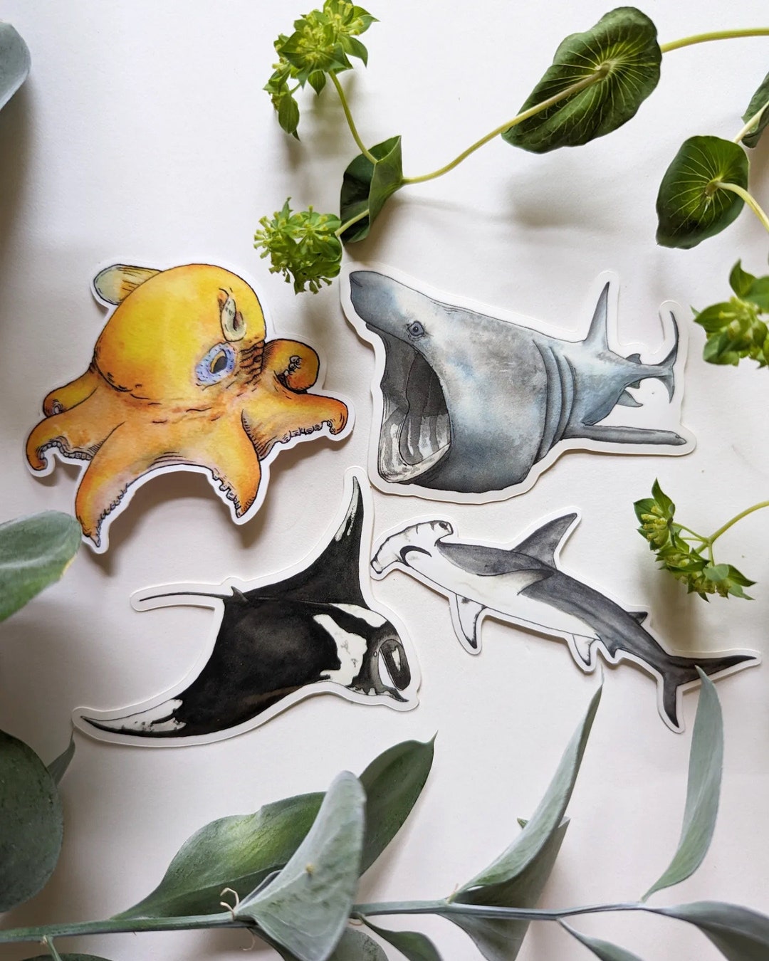 Sea Creatures and Sharks Sticker Pack L Dumbo Octopus L Basking Shark L ...