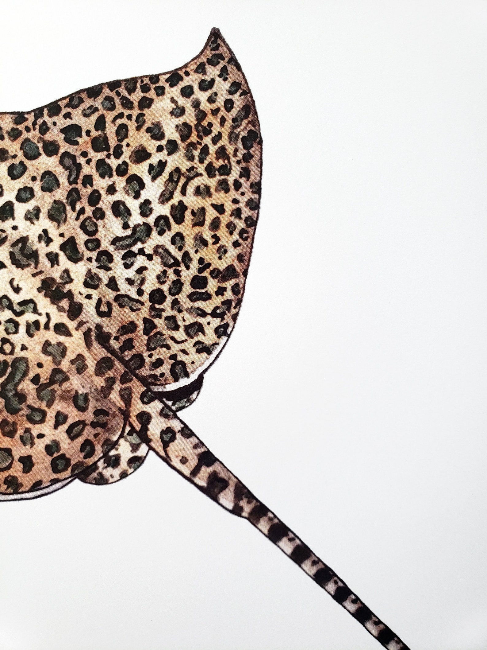 Leopard Whipray Original Watercolor Painting L Ray Illustration L Ocean ...