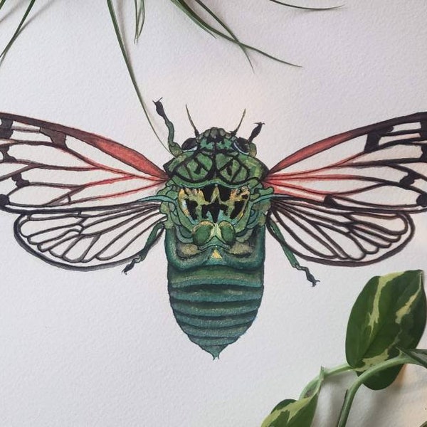 Insect Decor - Etsy
