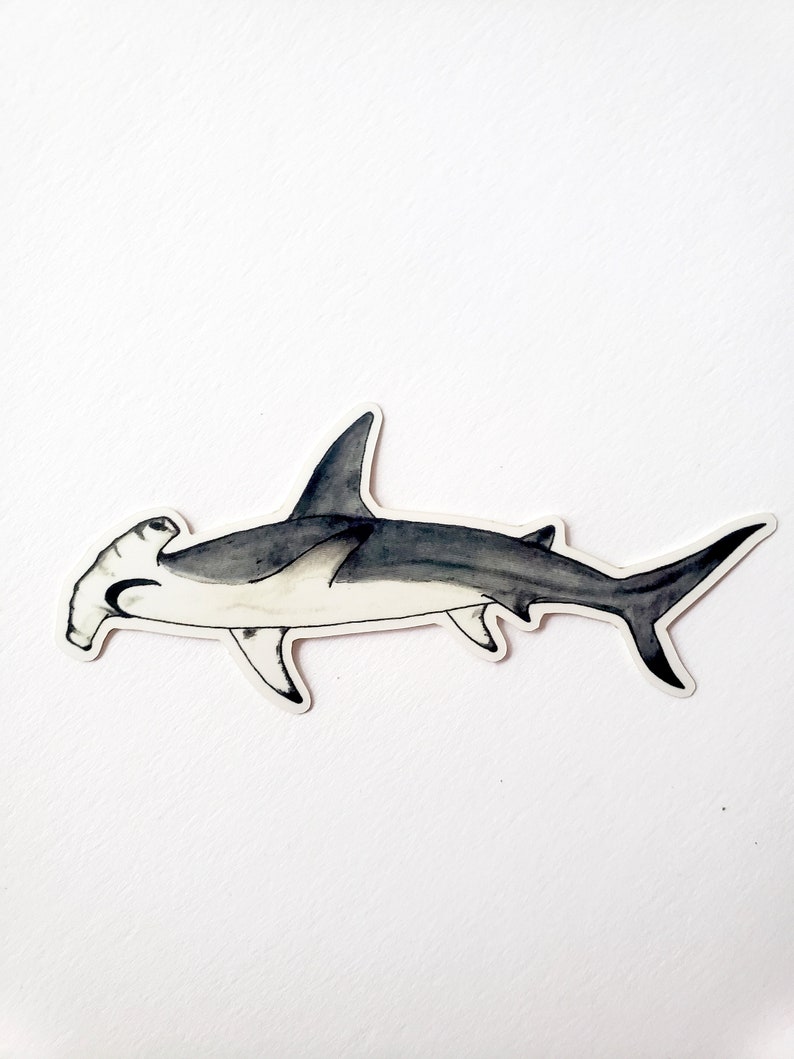 Hammerhead Shark Vinyl Sticker L Watercolor Sticker L - Etsy