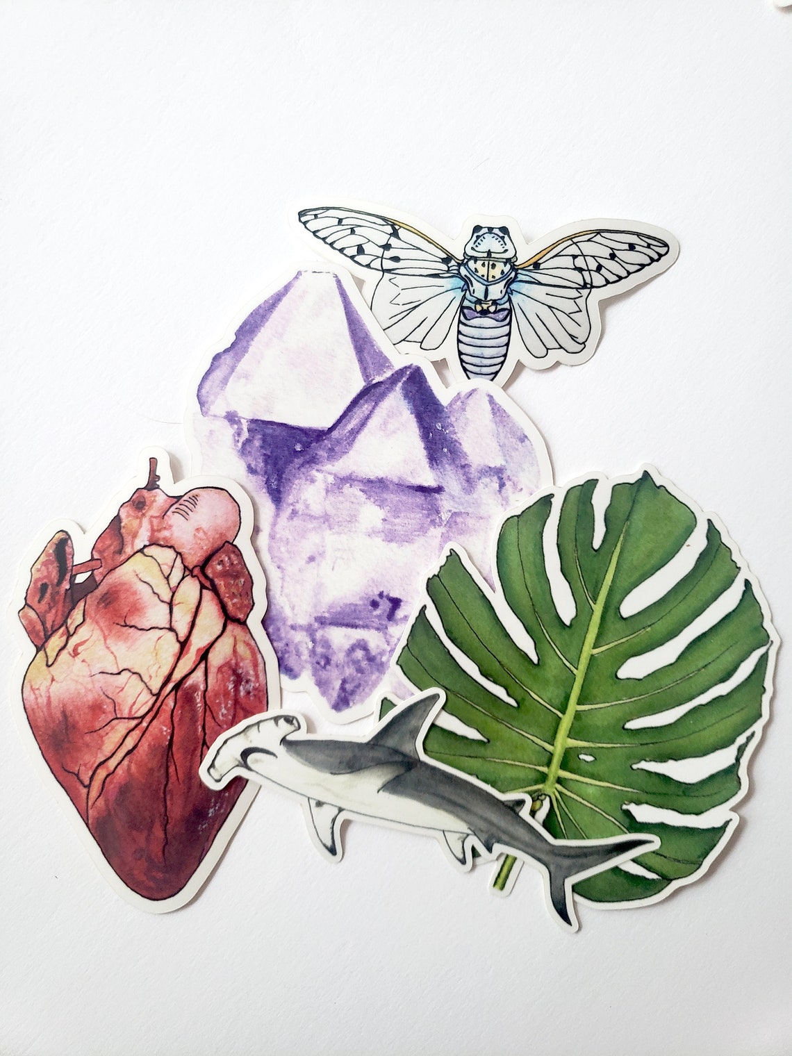 Human Heart Watercolor Vinyl Sticker L Art Sticker L - Etsy
