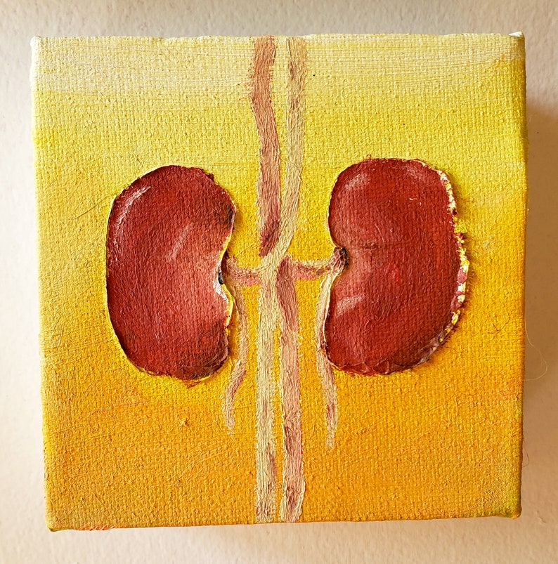 Kidneys Original Oil Painting - Etsy