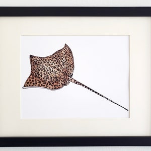 Leopard Whipray Original Watercolor Painting L Ray Illustration L Ocean ...