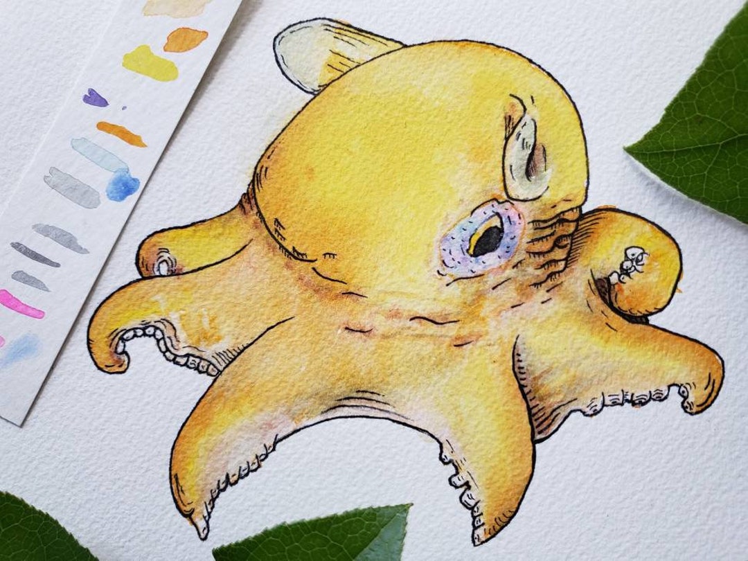 Dumbo Octopus Original Watercolor Painting L Ocean Decor L Marine Art L ...