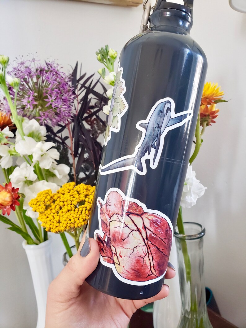 Human Heart Watercolor Vinyl Sticker L Art Sticker L - Etsy