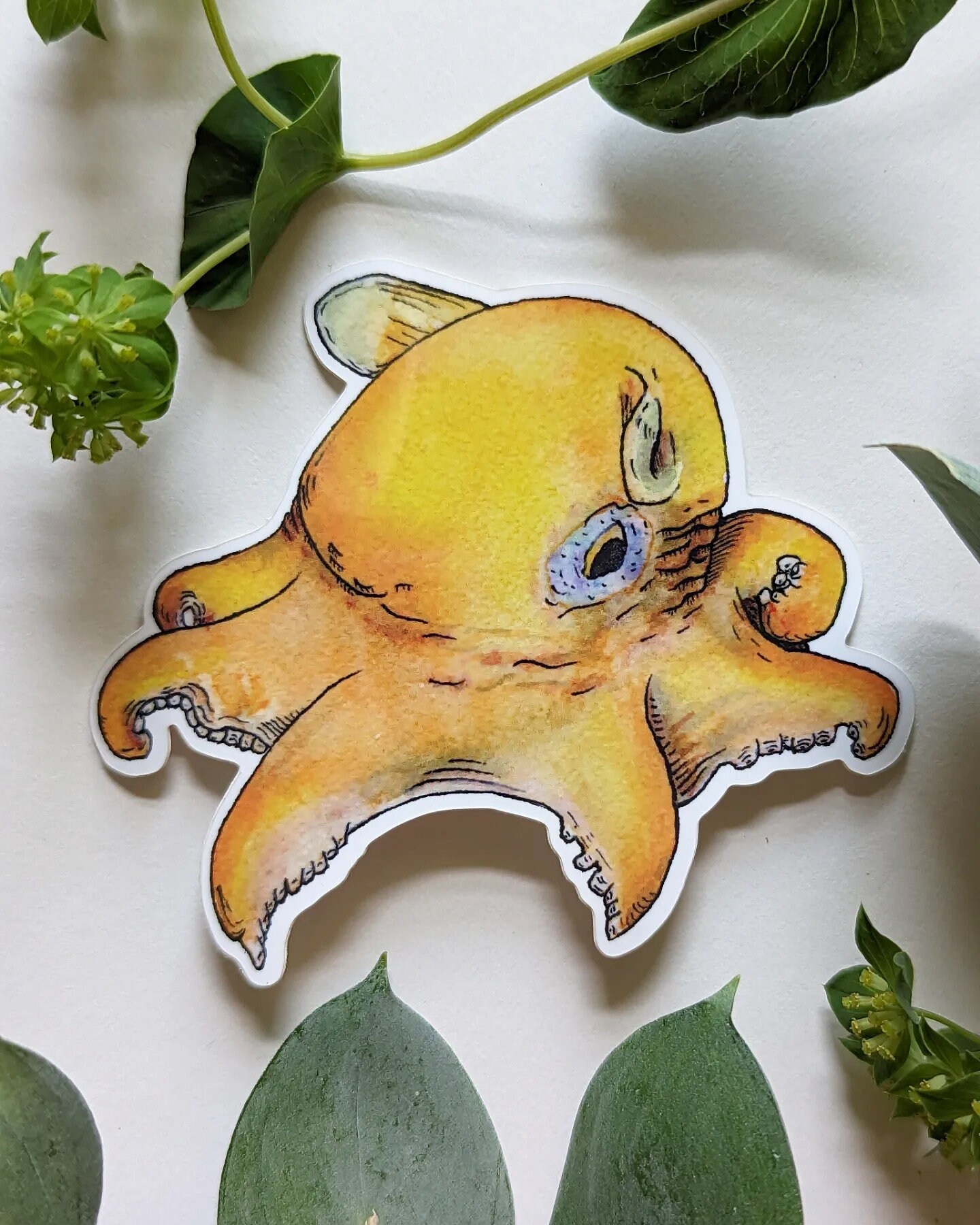 Watercolor Sea Creatures Sticker Pack L Leafy Seadragon L - Etsy