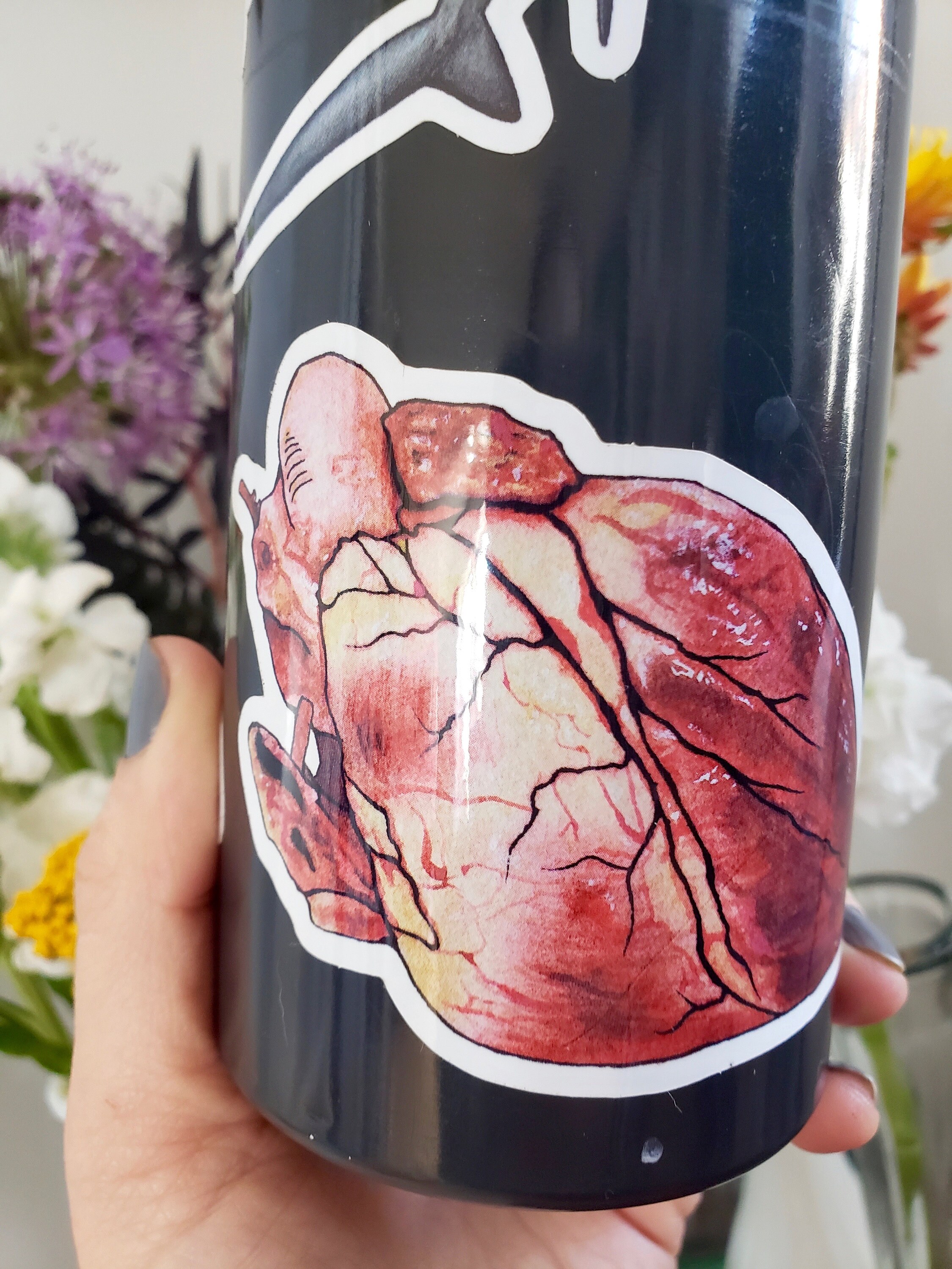 Human Heart Watercolor Vinyl Sticker L Art Sticker L - Etsy