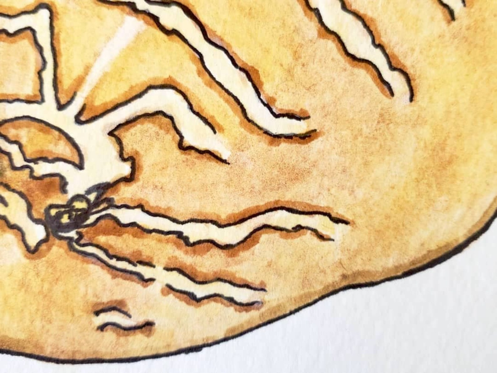 Eastern Fiddler Ray Original Watercolor Painting L Ocean - Etsy