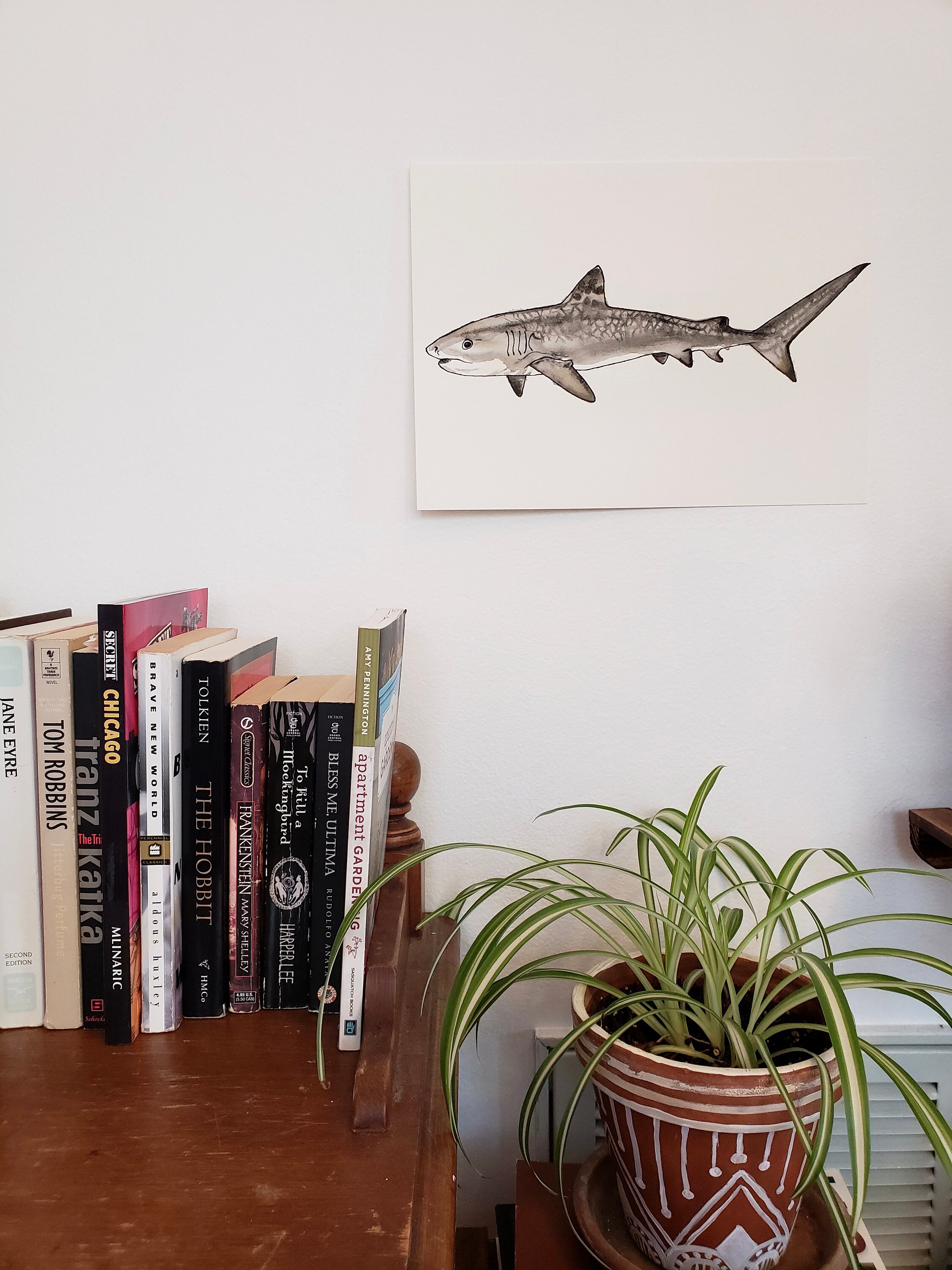 Tiger Shark Original Watercolor Painting L Ocean Decor L Shark ...