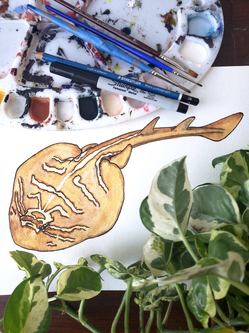 Eastern Fiddler Ray Original Watercolor Painting L Ocean - Etsy