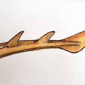 Eastern Fiddler Ray Original Watercolor Painting L Ocean Painting L ...