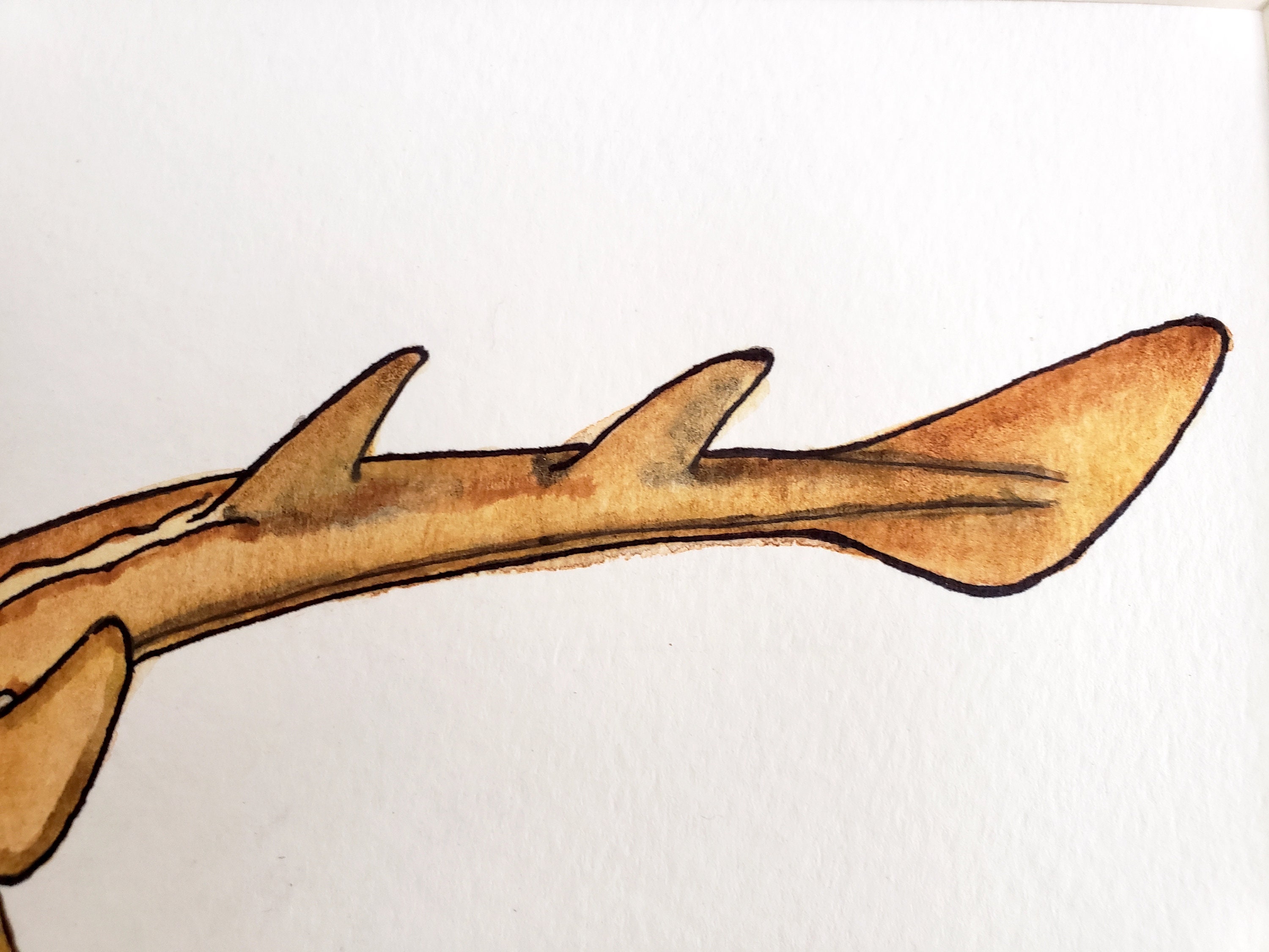 Eastern Fiddler Ray Original Watercolor Painting L Ocean - Etsy