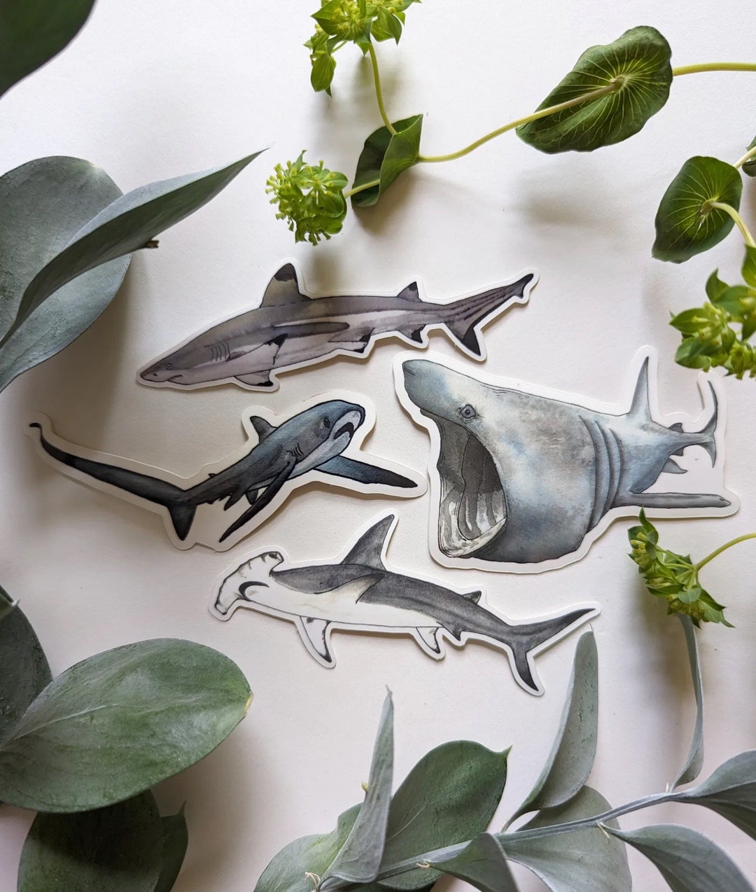Shark Sticker Pack L Black Tip Reef Shark L Basking Shark L Hammerhead ...