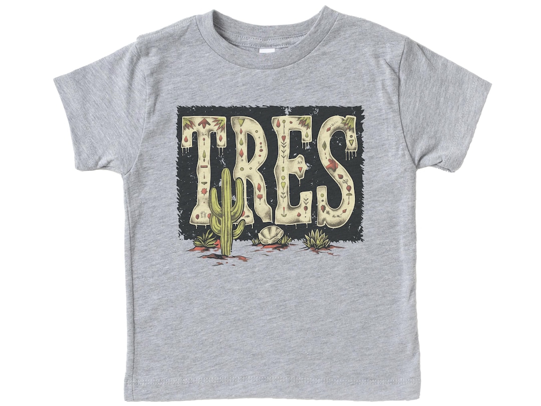 Three Year Old, Tres, Third Birthday Shirt, Raglan T, Toddler Birthday ...