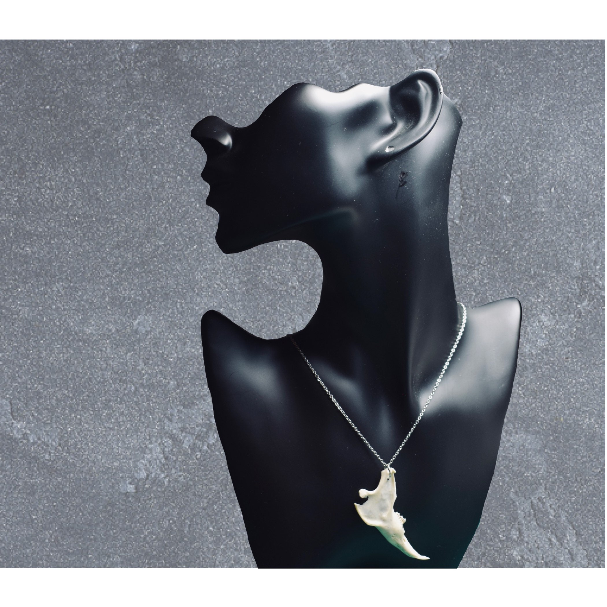 Rabbit Jawbone / Mandible Necklace Oddity Jewellery | Etsy