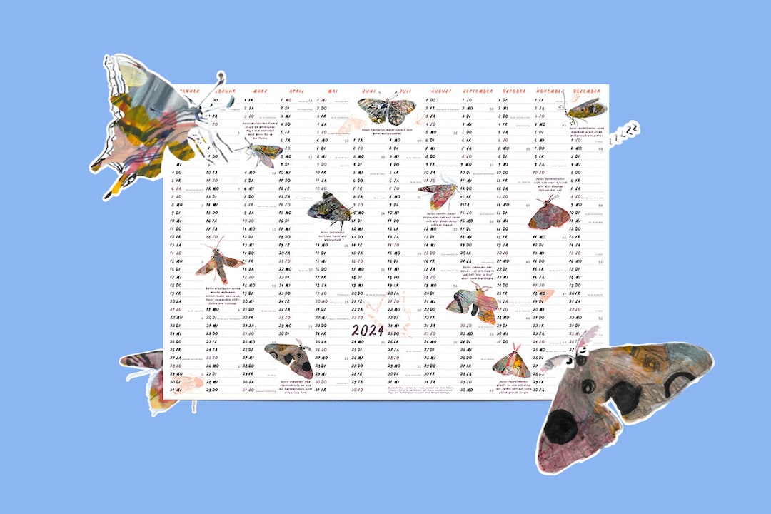 NEW: Butterflies and Moths 2024 Wall Calendar A2 - Etsy