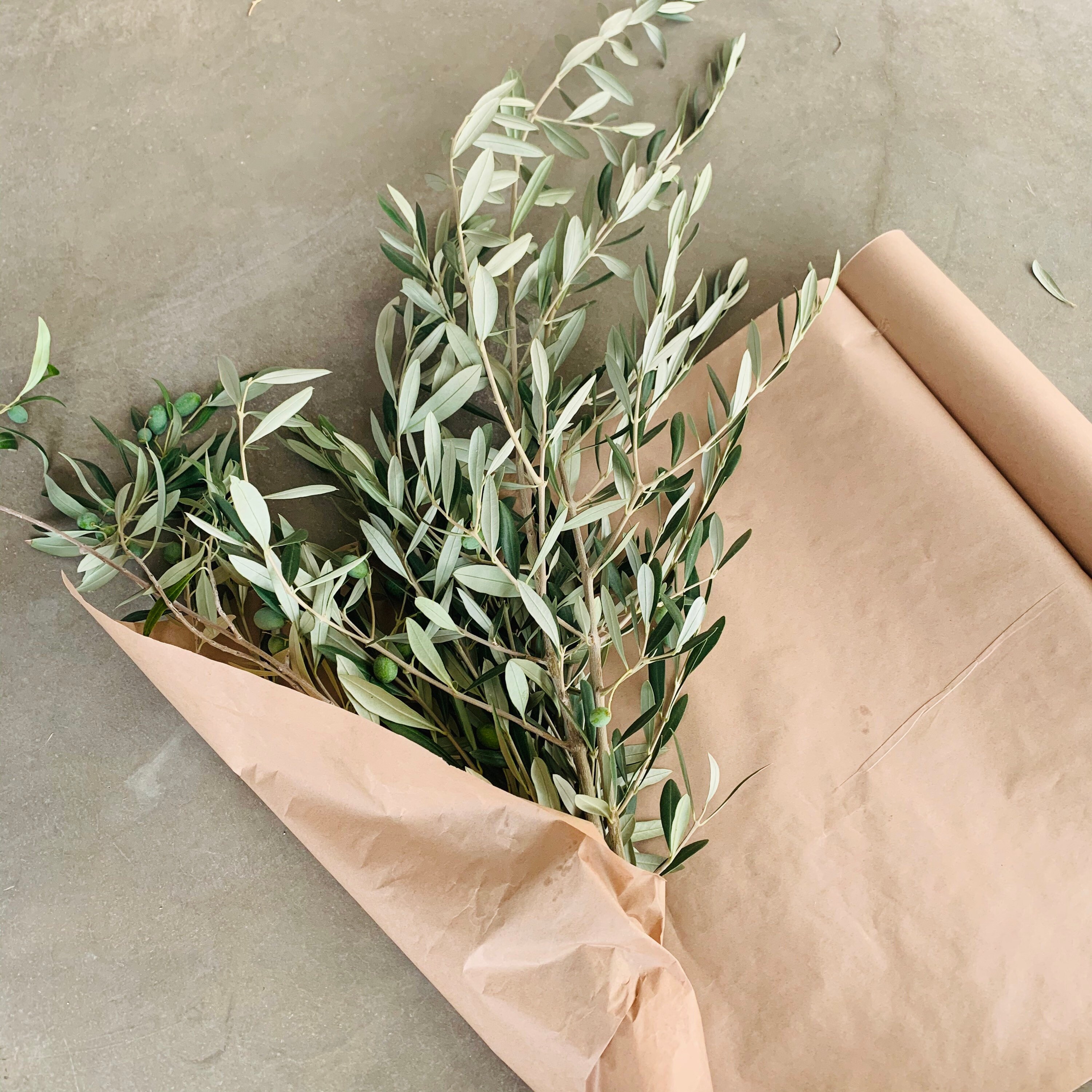Fresh Cut Dried Olive Branches - Etsy
