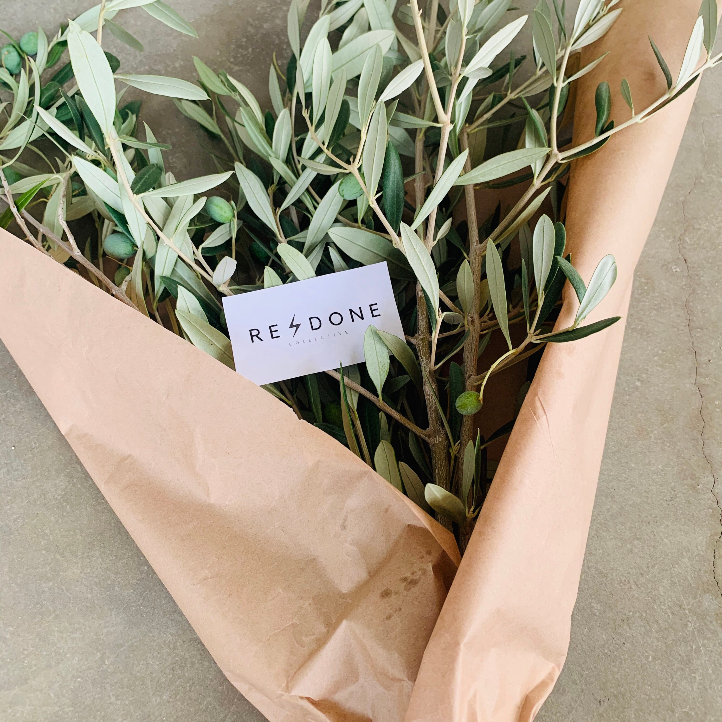 Fresh Cut Dried Olive Branches! - Etsy