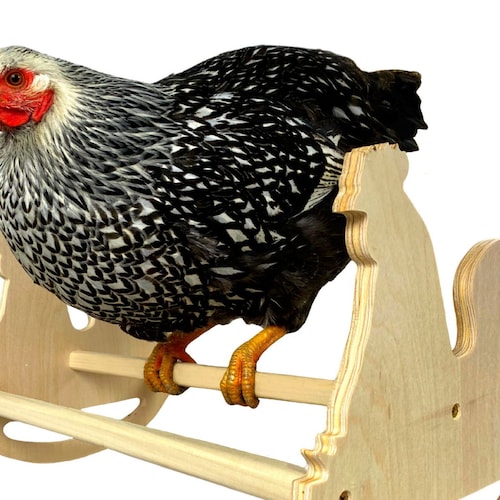 Chicken Swing Toy for Coop With Wooden Accessories HANDMADE IN - Etsy