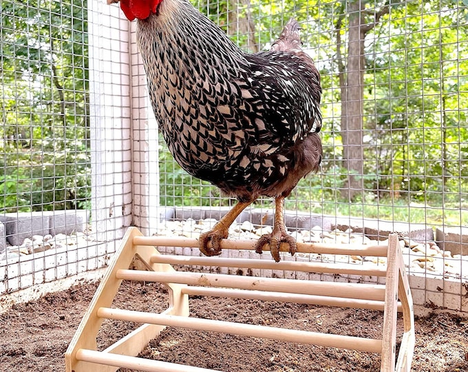 Chicken Perch Ladder & Roosting Bar - Extra Large - Sturdy Chicken Toy ...