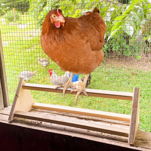 Backyard Barnyard Chicken Perch Wooden Roosting Bar Made in - Etsy