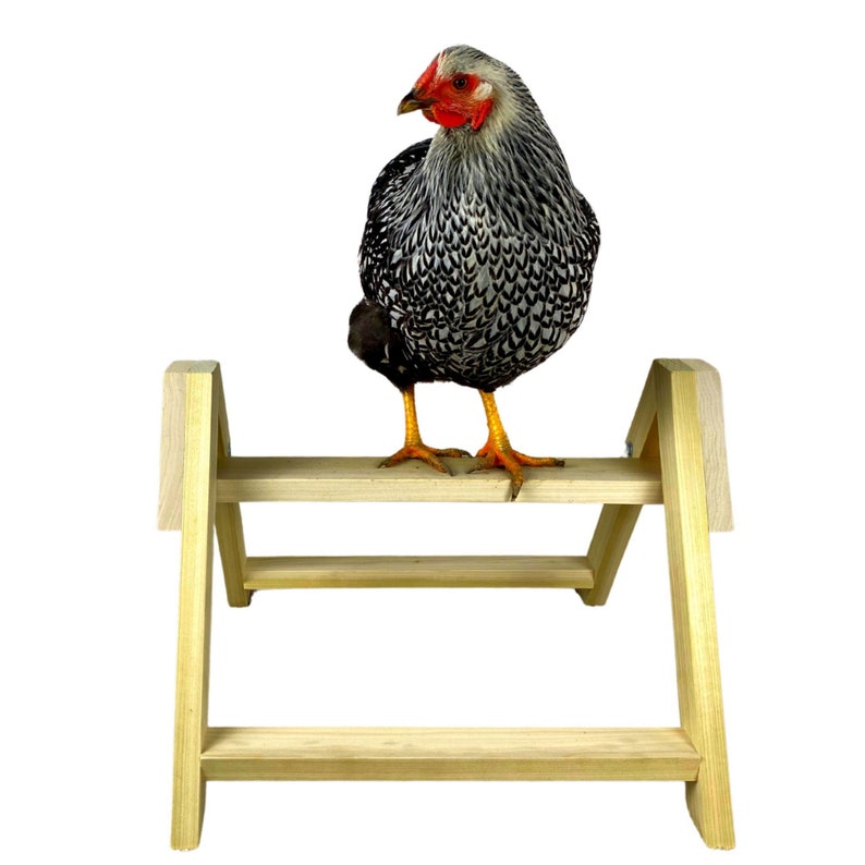 Chicken Roosting Perch Made in the USA Roost Toys and - Etsy