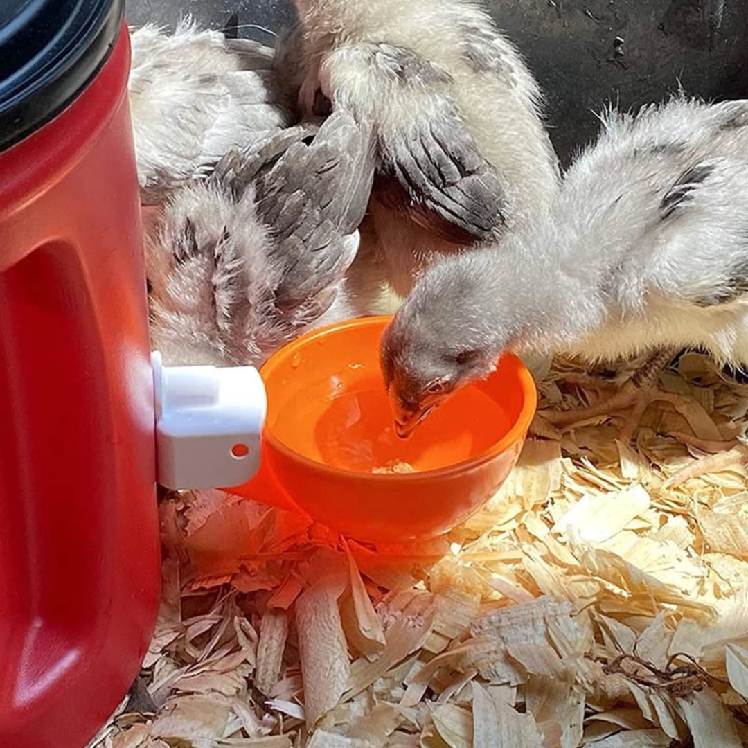 Backyard Barnyard 6 Pack Automatic Jumbo Poultry Cup Waterer Drinker ...