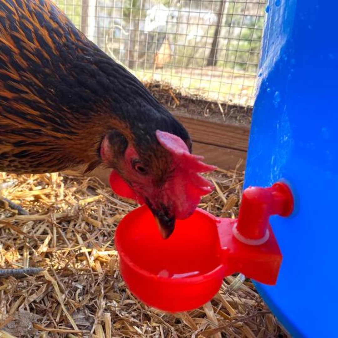 Backyard Barnyard 6 Pack Automatic Poultry Waterer Cup Drinker for ...