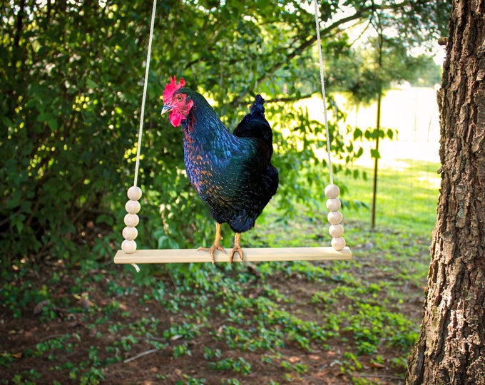 Backyard Barnyard Chicken Swing Handmade in USA Flat Bar - Etsy