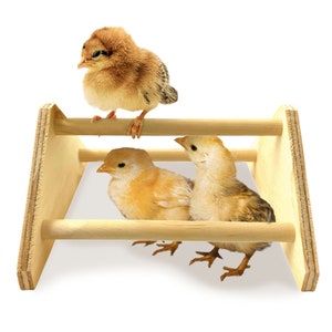 Backyard Barnyard Mini Chick Roosting Perch (2 Pack) Chicken Toys for ...