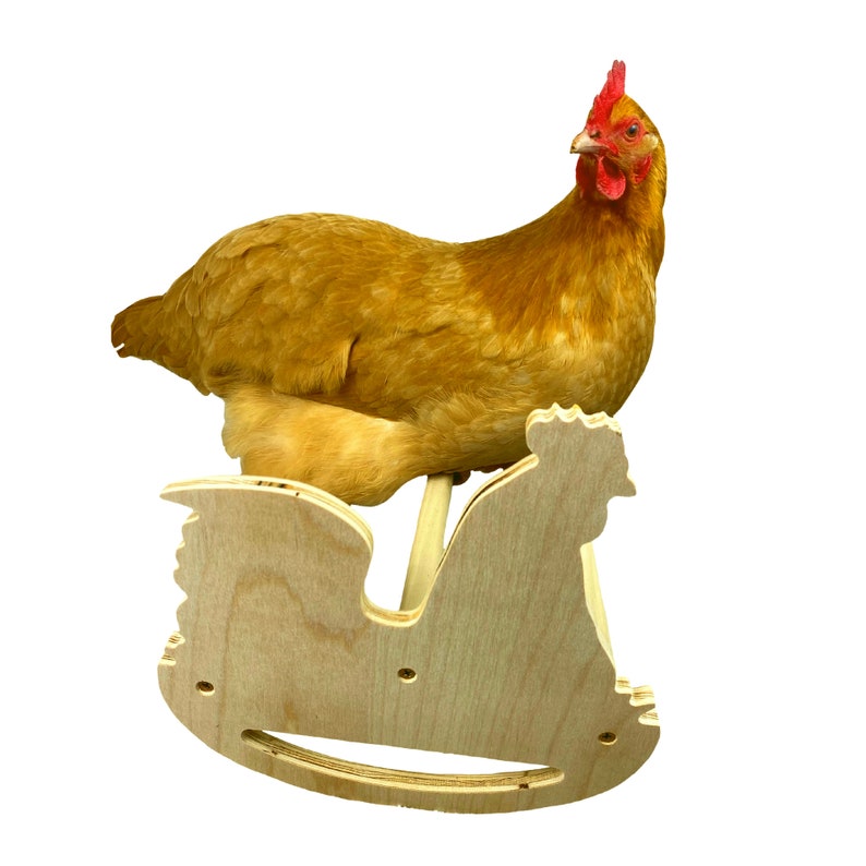 Chicken Rocking Roosting Bar Toy for Coop Made in the USA - Etsy