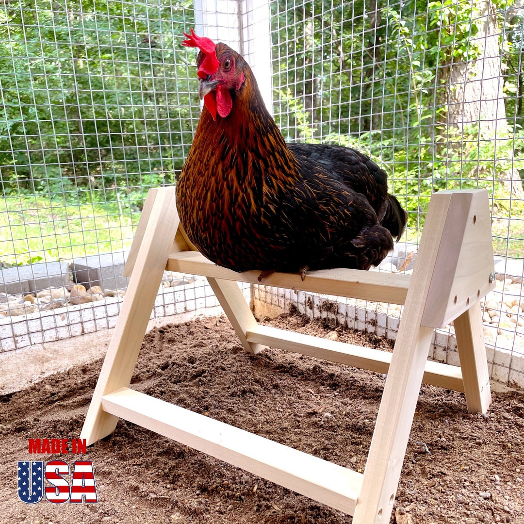 Chicken Roosting Perch Made in the USA Roost Toys and - Etsy