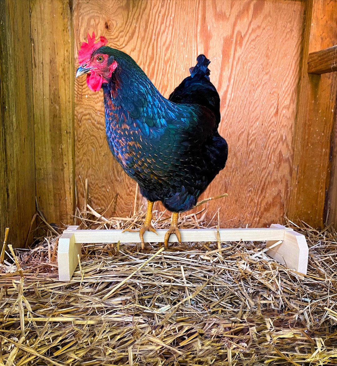Backyard Barnyard Chicken Perch Wooden Roosting Bar Made in USA Solid ...