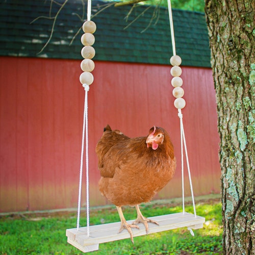 Chicken Swing Toy for Coop With Wooden Accessories HANDMADE IN - Etsy