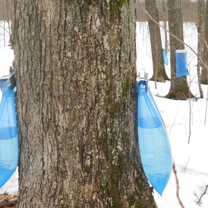 250 Maple Sap / Syrup Bags for Sap Sack Holders 1 Full Case - Etsy