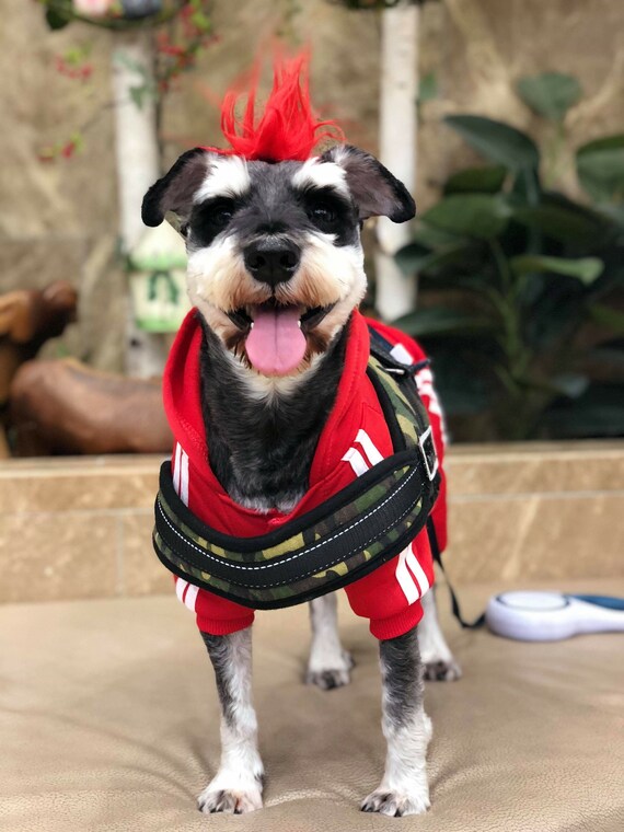 Mohawk De Perro